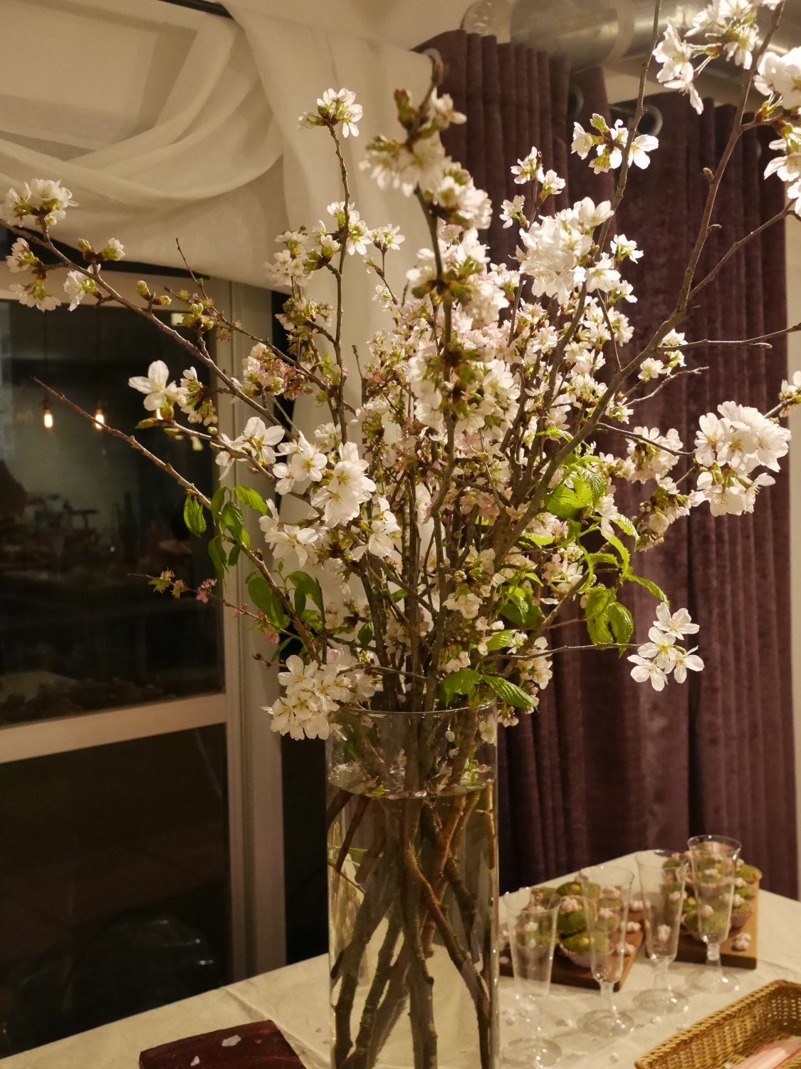 Hanami Party | JJ Kitchen in Tokyo