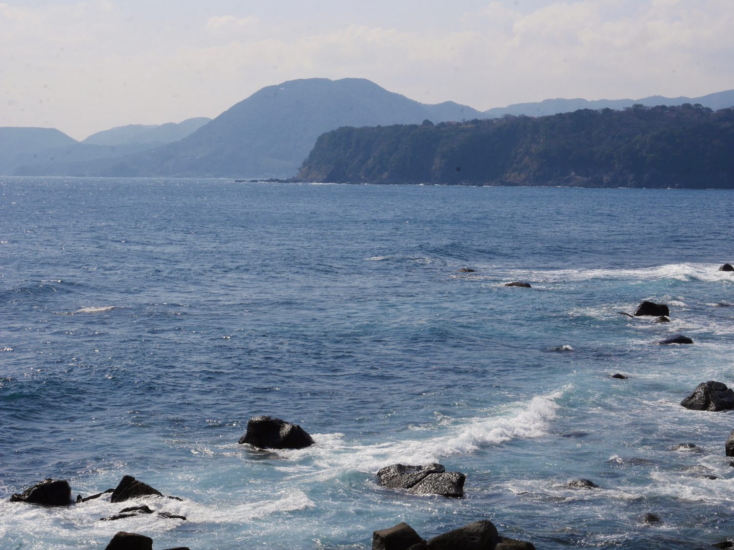 Hinano Tsurushi Kazari Festival | JJ Kitchen in Tokyo