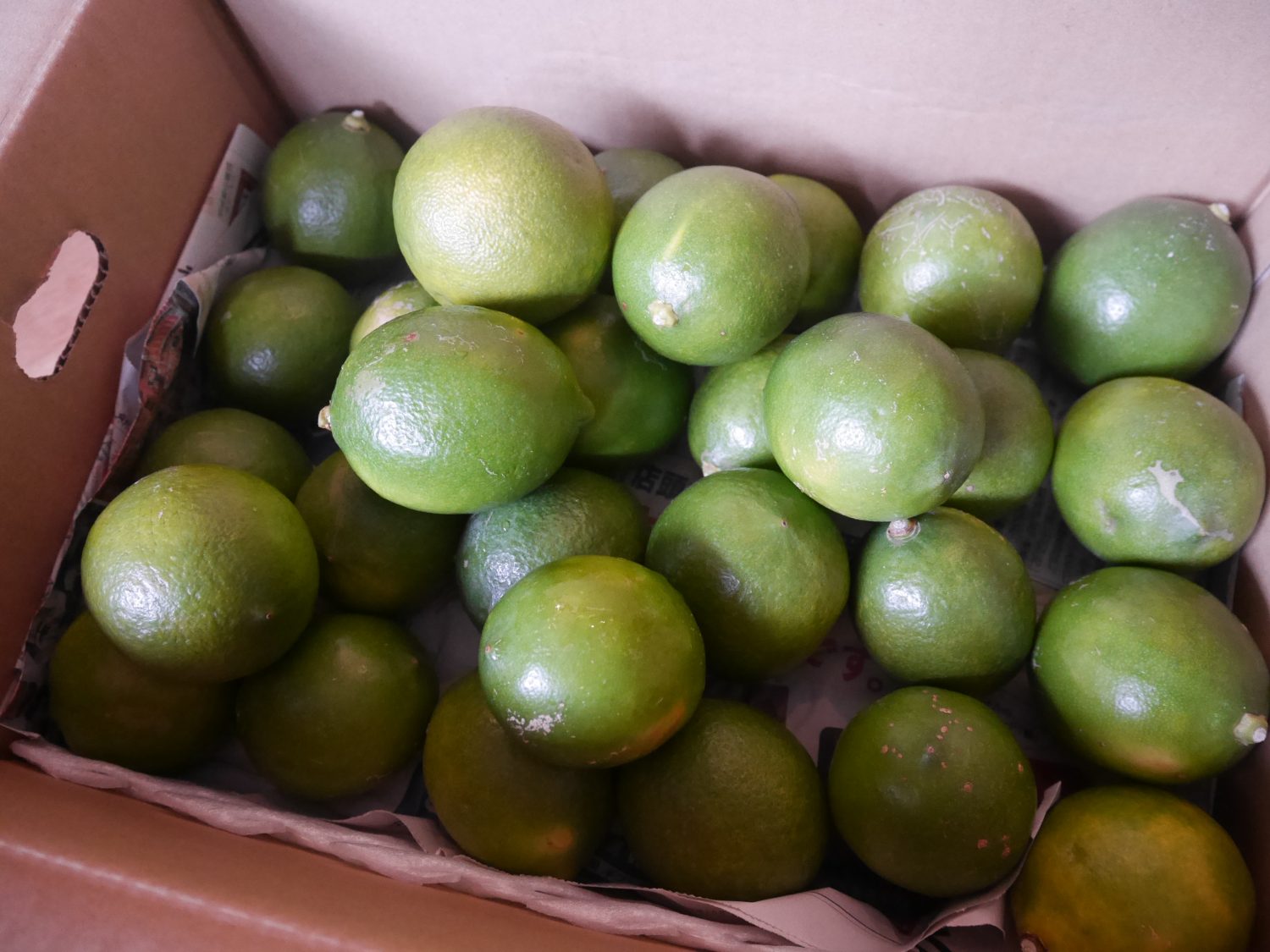 Preserved Lemons | JJ Kitchen in Tokyo